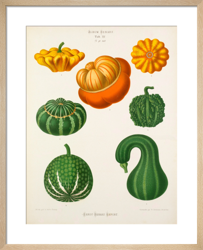 Ernst Benary Art Prints | King & McGaw