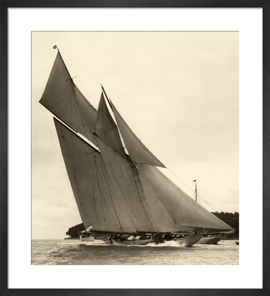 Yacht Racing II Art Print from Stilltime | King & McGaw