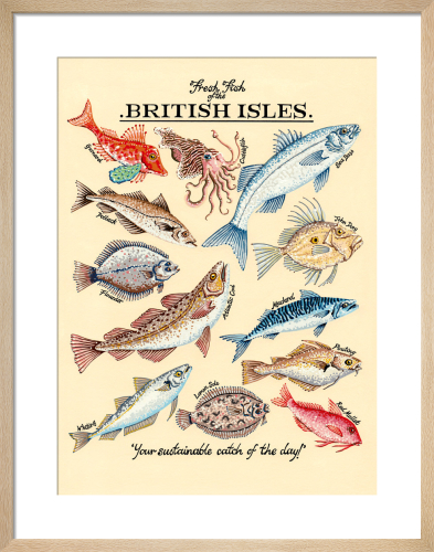 Kelly Hall Art Prints | King & McGaw