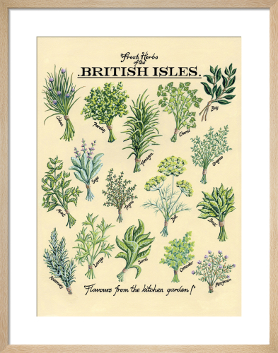 Kelly Hall Art Prints | King & McGaw