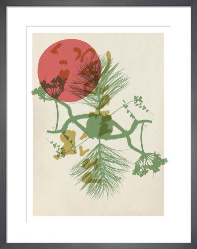 Marcus Walters Art Prints | King & McGaw