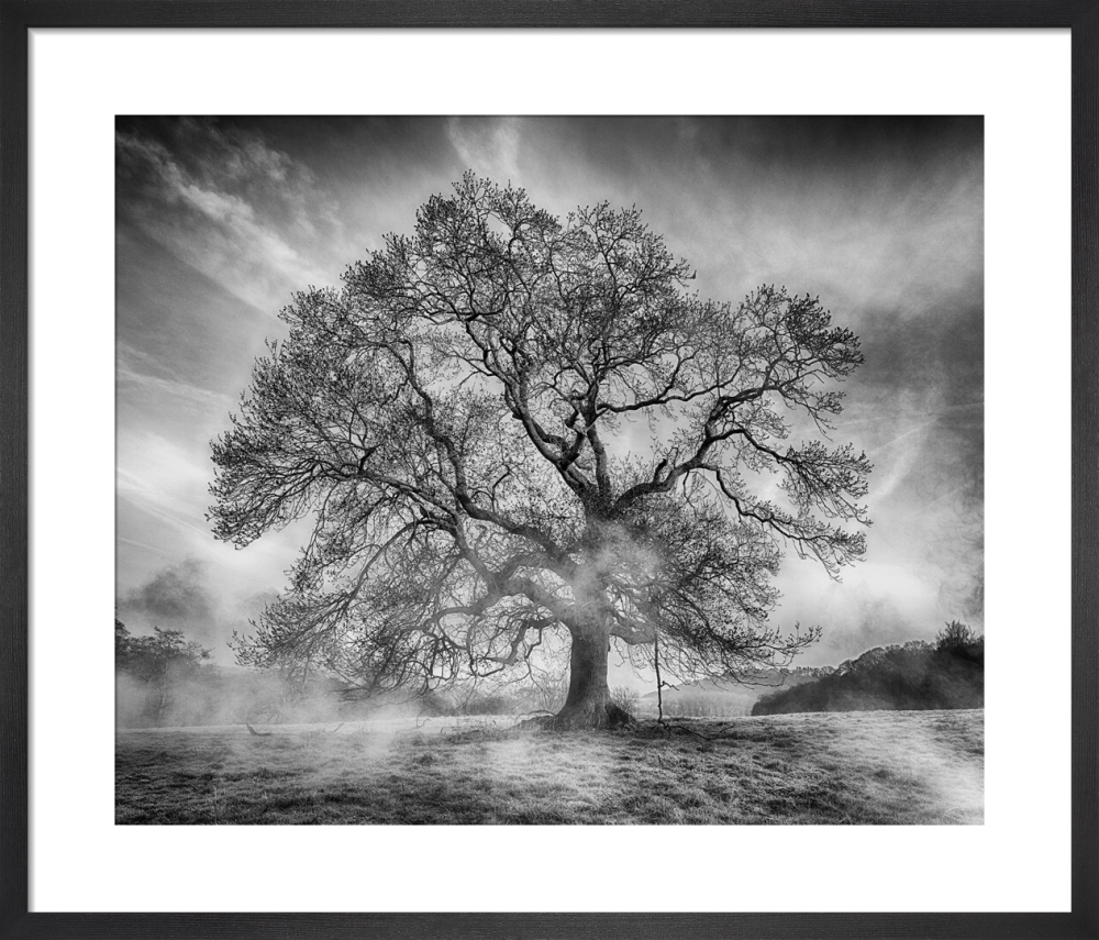 Photo art black and white store